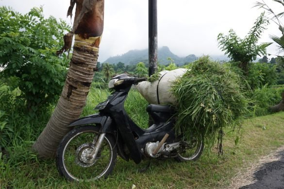 Rondreis Bali | Planning + tips voor de perfecte route voor twee weken Bali