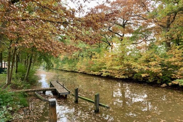 Natuurgebieden in Nederland | Tips voor mooie natuur dicht bij huis